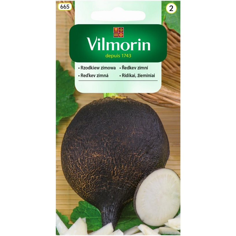 VILMORIN Reďkovka zimná čierna RUNDER SCHARZER WINTER - MODOM